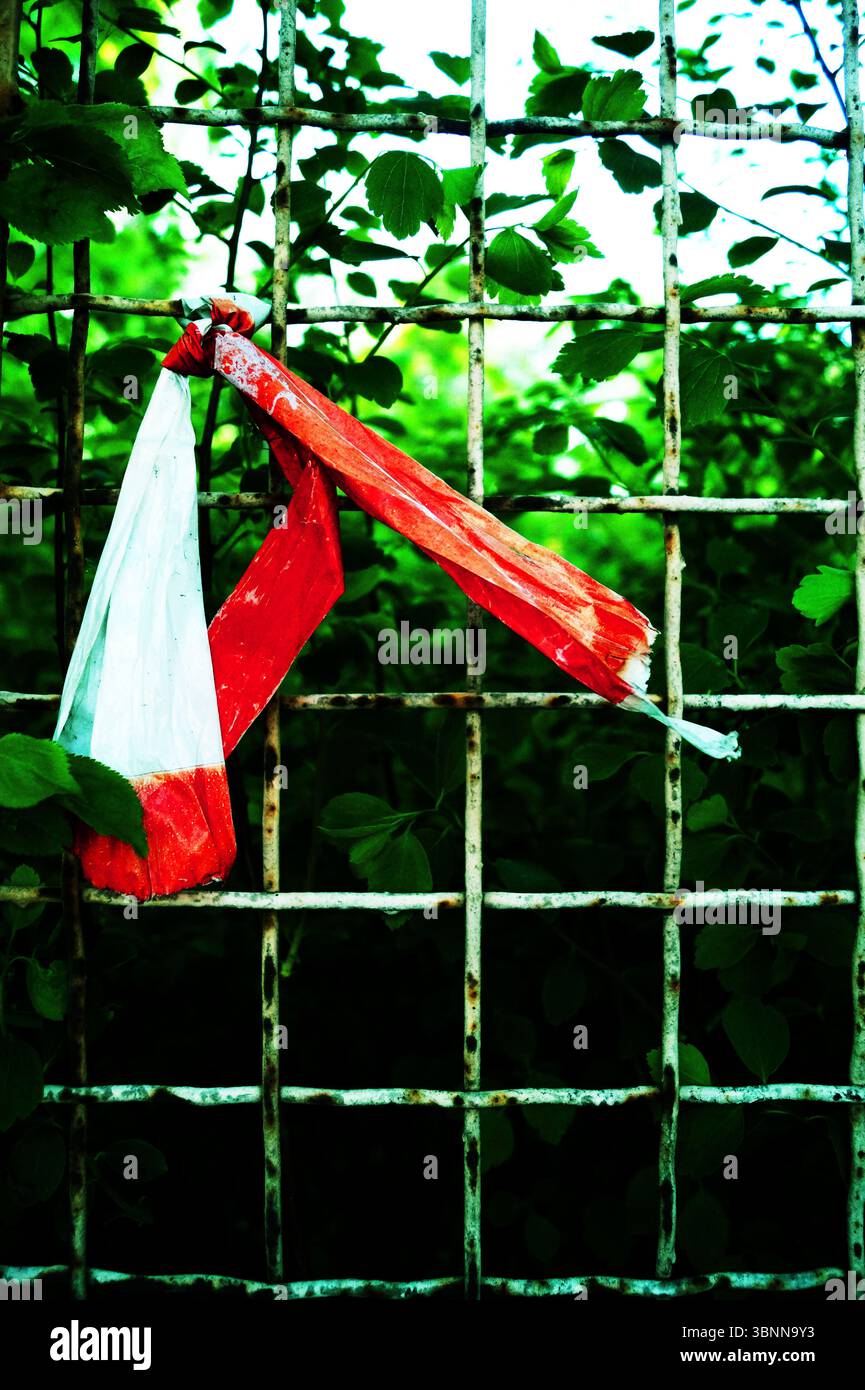 Barrier tape on a metal grid, plants, fence Stock Photo - Alamy
