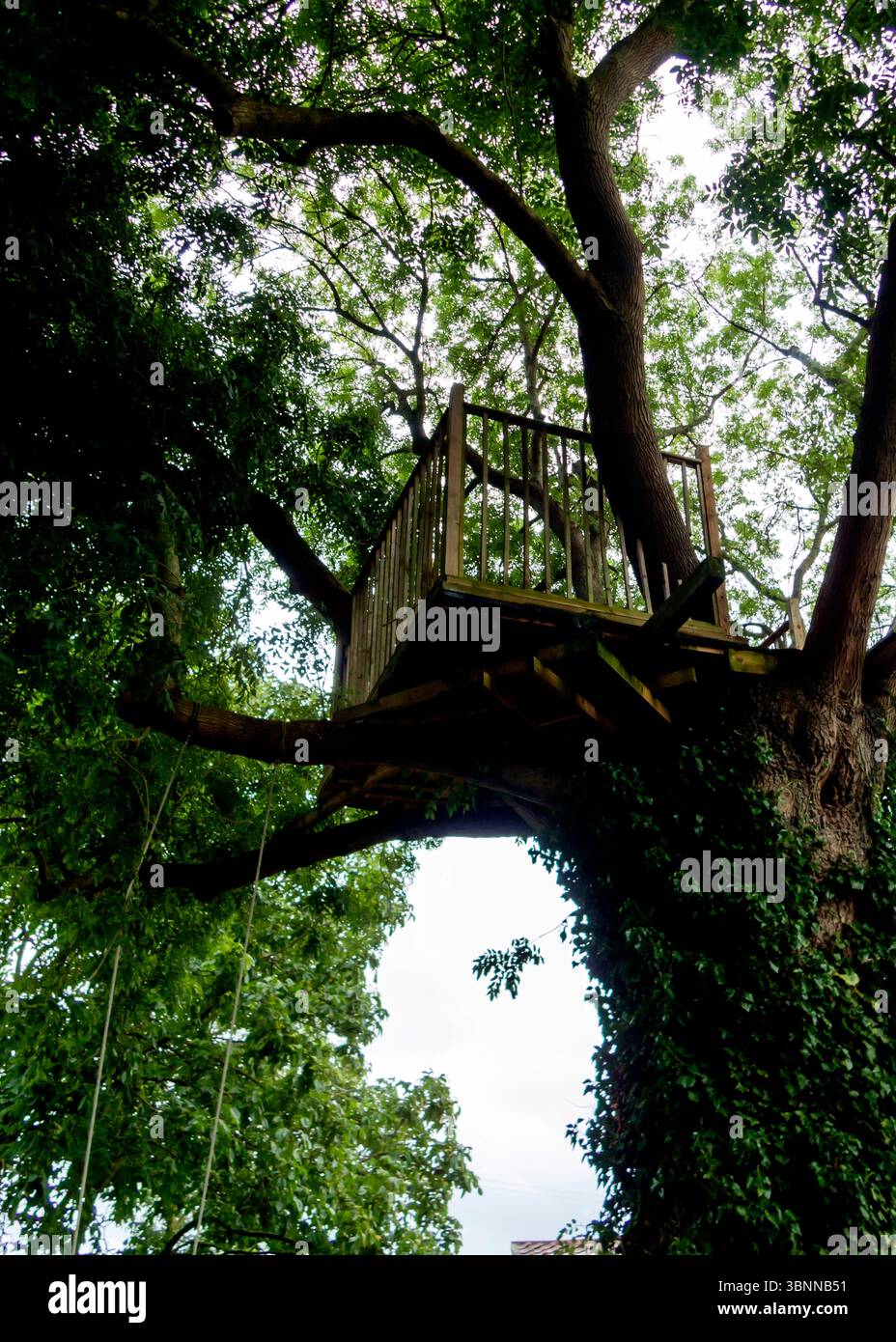 A treehouse is built in a large tree, with a swing hanging from a ...
