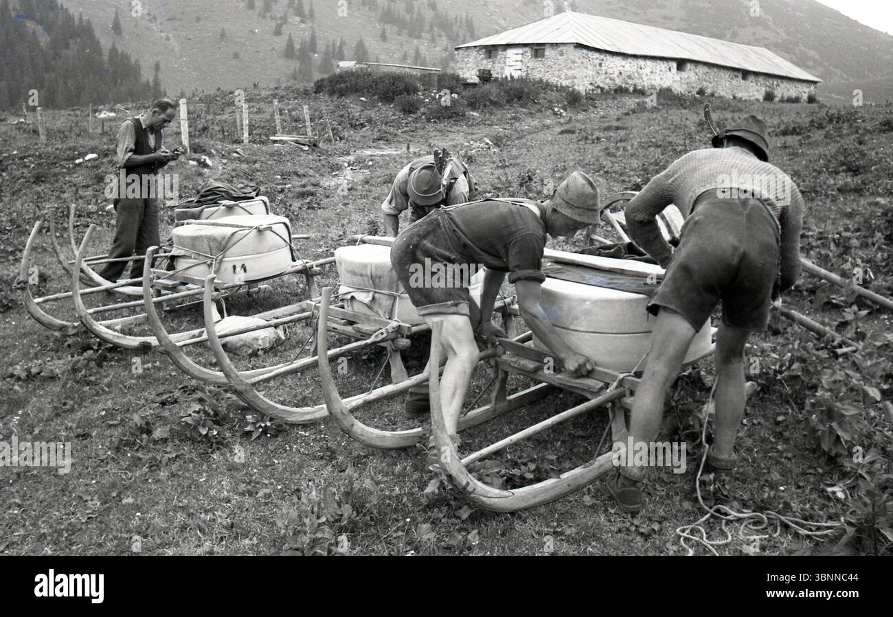 Cheese pulling, men loading cheese onto sledges, Zipfelsalpe, Allgäu ...