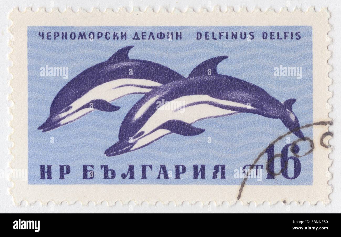 BULGARIA — 1961 June 19: 16 stotinki ultramarine and violet-blue ...
