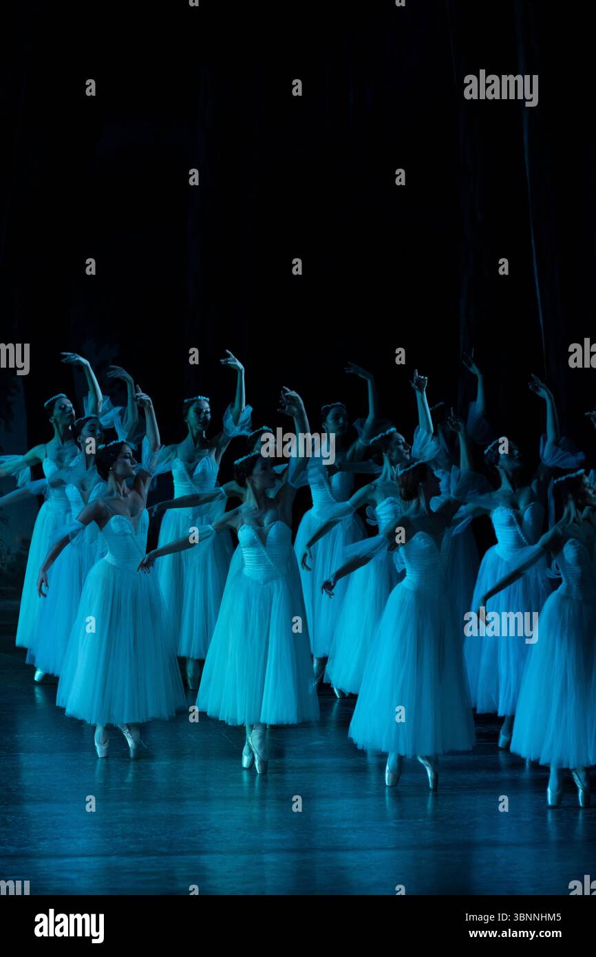 Giselle - performed by State ballet of Georgia during Tbilisi Ballet Festival 2025 Stock Photo ...
