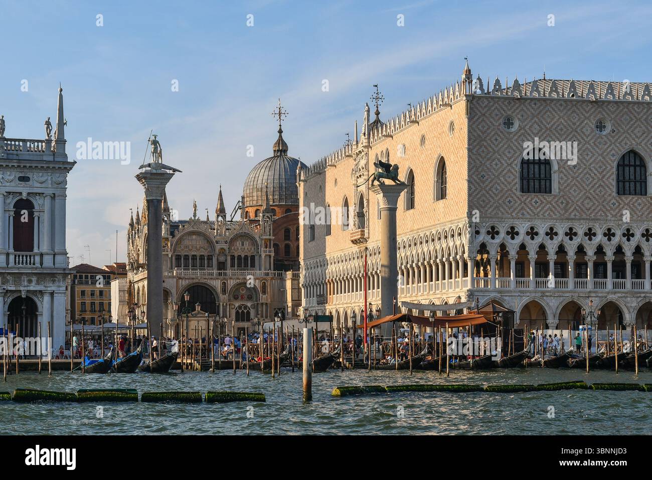 Marciana library hi-res stock photography and images - Alamy