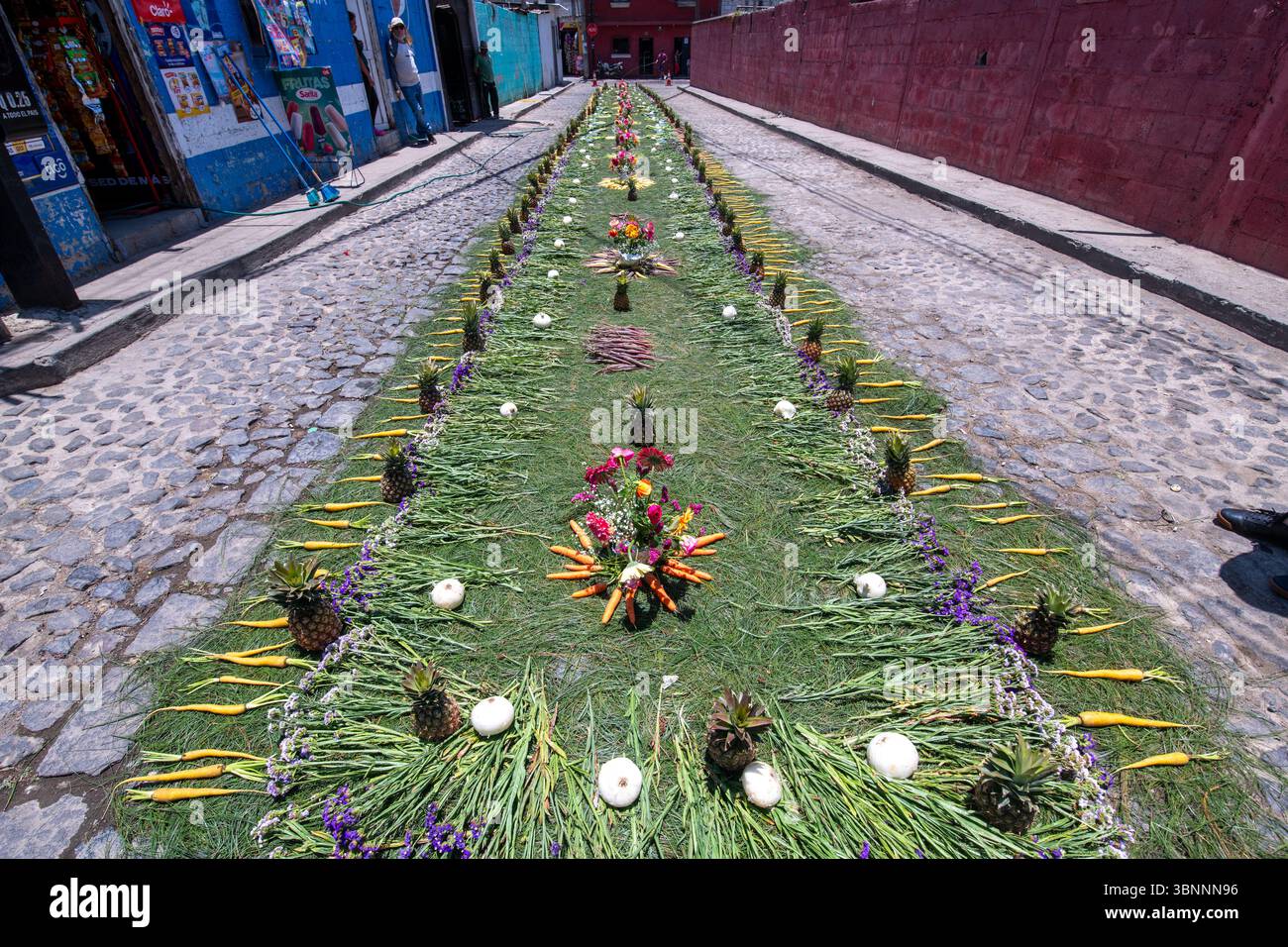 Alfombras para Semana Santa en la Antigua Guatemala Handmade carpets ...
