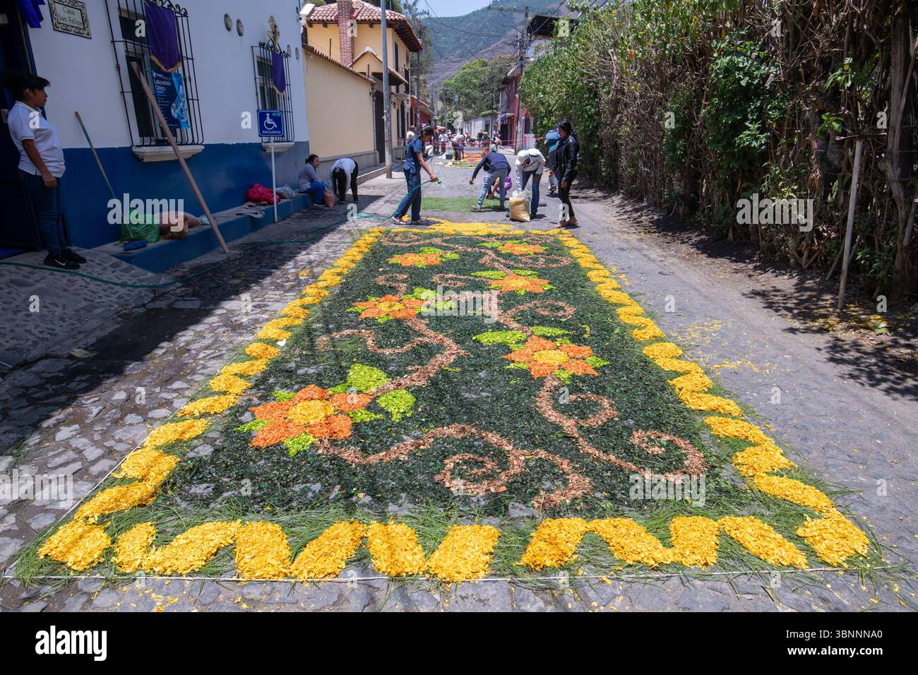 Alfombras para Semana Santa en la Antigua Guatemala Handmade carpets ...