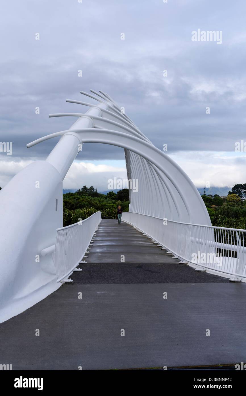 Photograph of the Te Rewa Rewa Bridge in New Plymouth, New Zealand on a ...