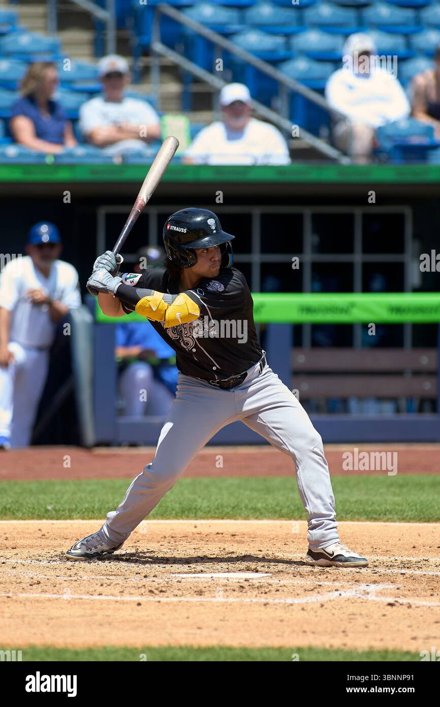 Lansing Lugnuts CJ Rodriguez (7) bats during an MiLB Midwest League ...