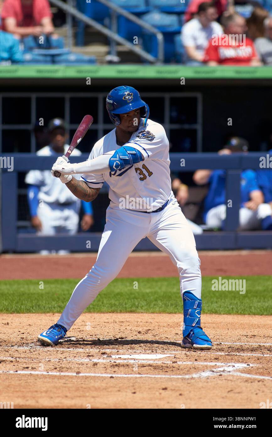 Quad Cities River Bandits Bryan Gonzalez (31) bats during an MiLB ...