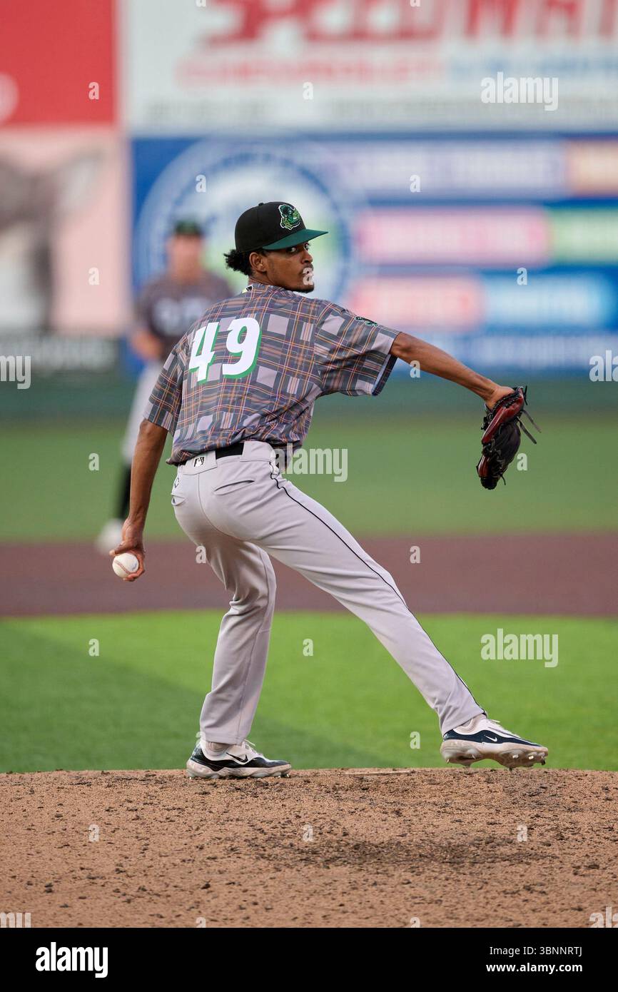 Eugene Emeralds pitcher Esmerlin Vinicio (49) delivers a pitch during ...