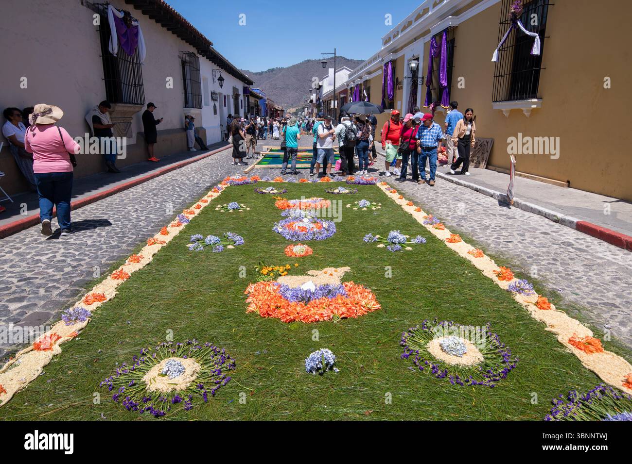 Alfombras para Semana Santa en la Antigua Guatemala Handmade carpets ...