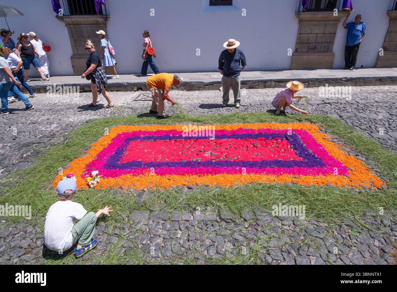Alfombras para Semana Santa en la Antigua Guatemala Handmade carpets ...