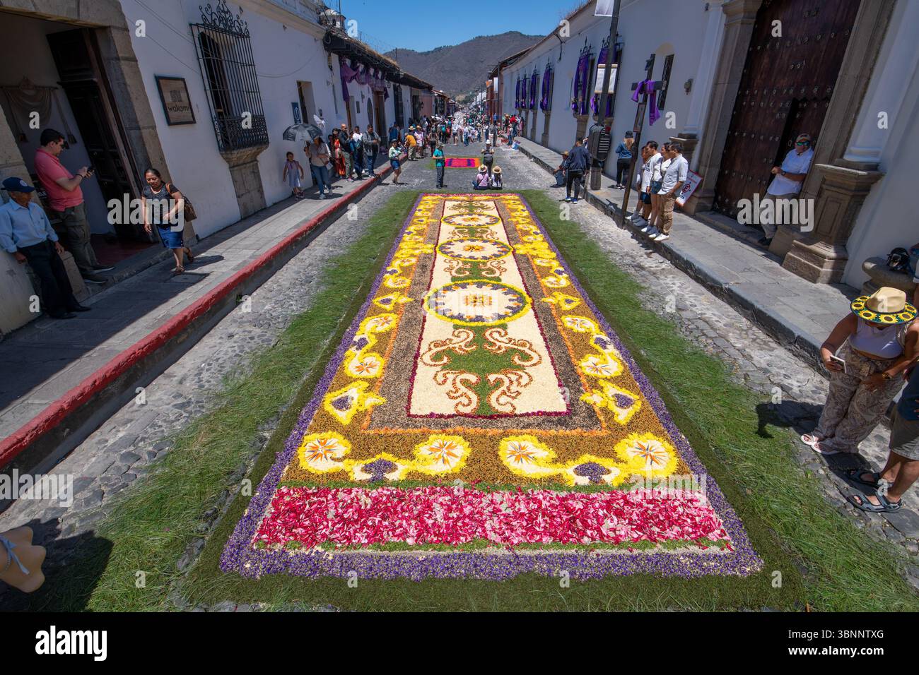 Alfombras para Semana Santa en la Antigua Guatemala Handmade carpets ...