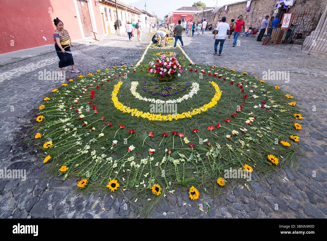 Alfombras para Semana Santa en la Antigua Guatemala Handmade carpets ...