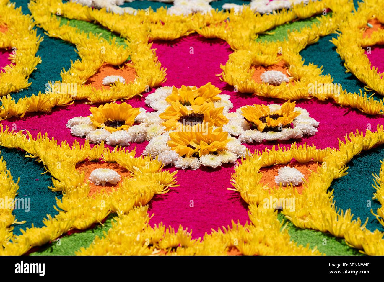 Alfombras para Semana Santa en la Antigua Guatemala Handmade carpets ...