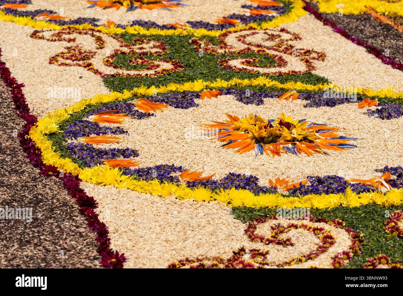 Alfombras para Semana Santa en la Antigua Guatemala Handmade carpets ...