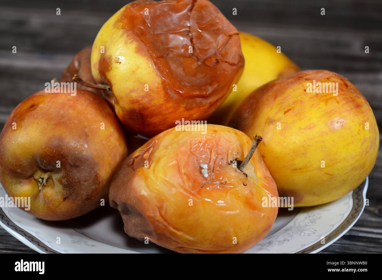 Rotten apple fruit, that harbor mold and bacteria, mould is one of the ...
