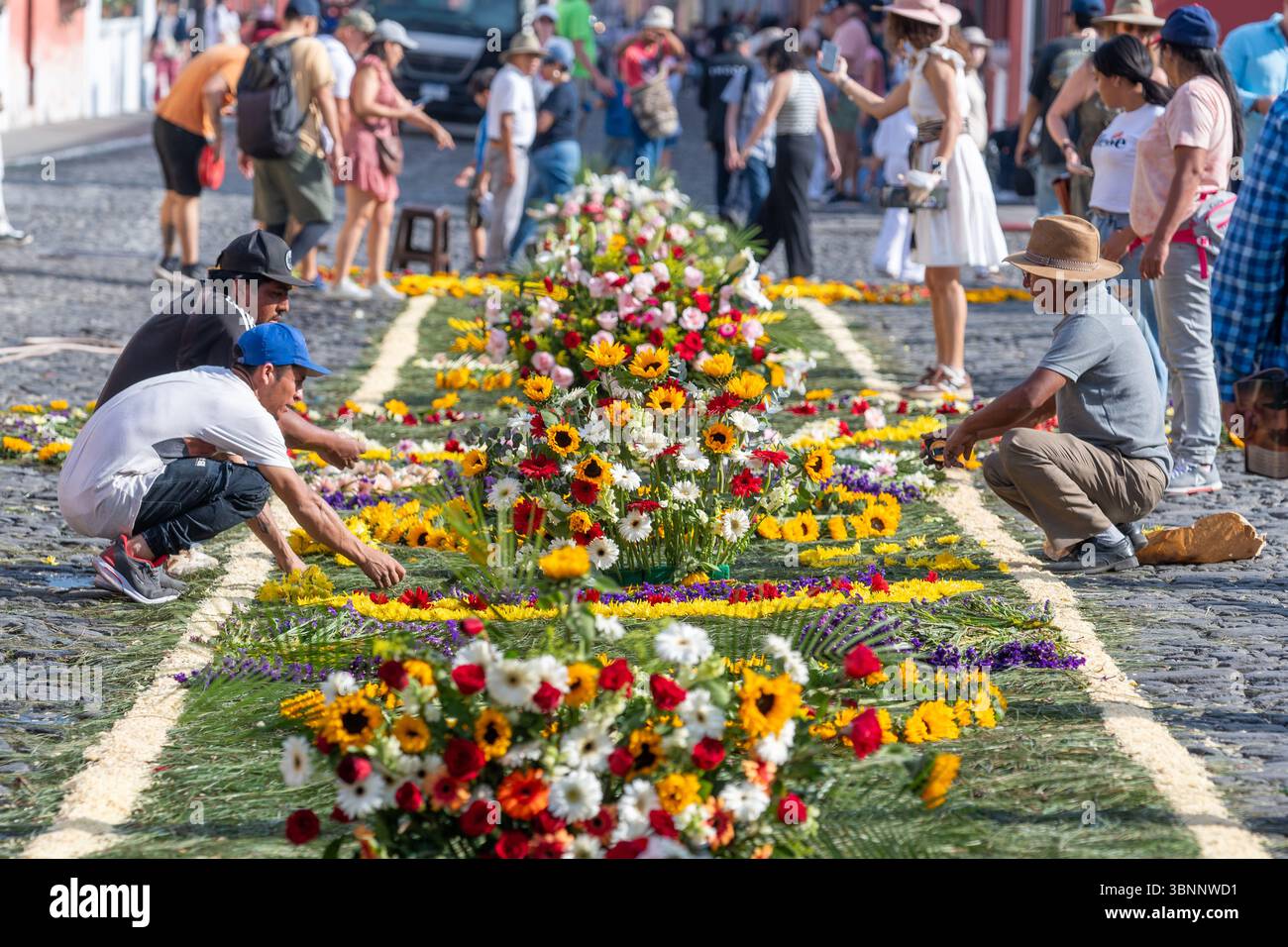 Alfombras para Semana Santa en la Antigua Guatemala Handmade carpets ...