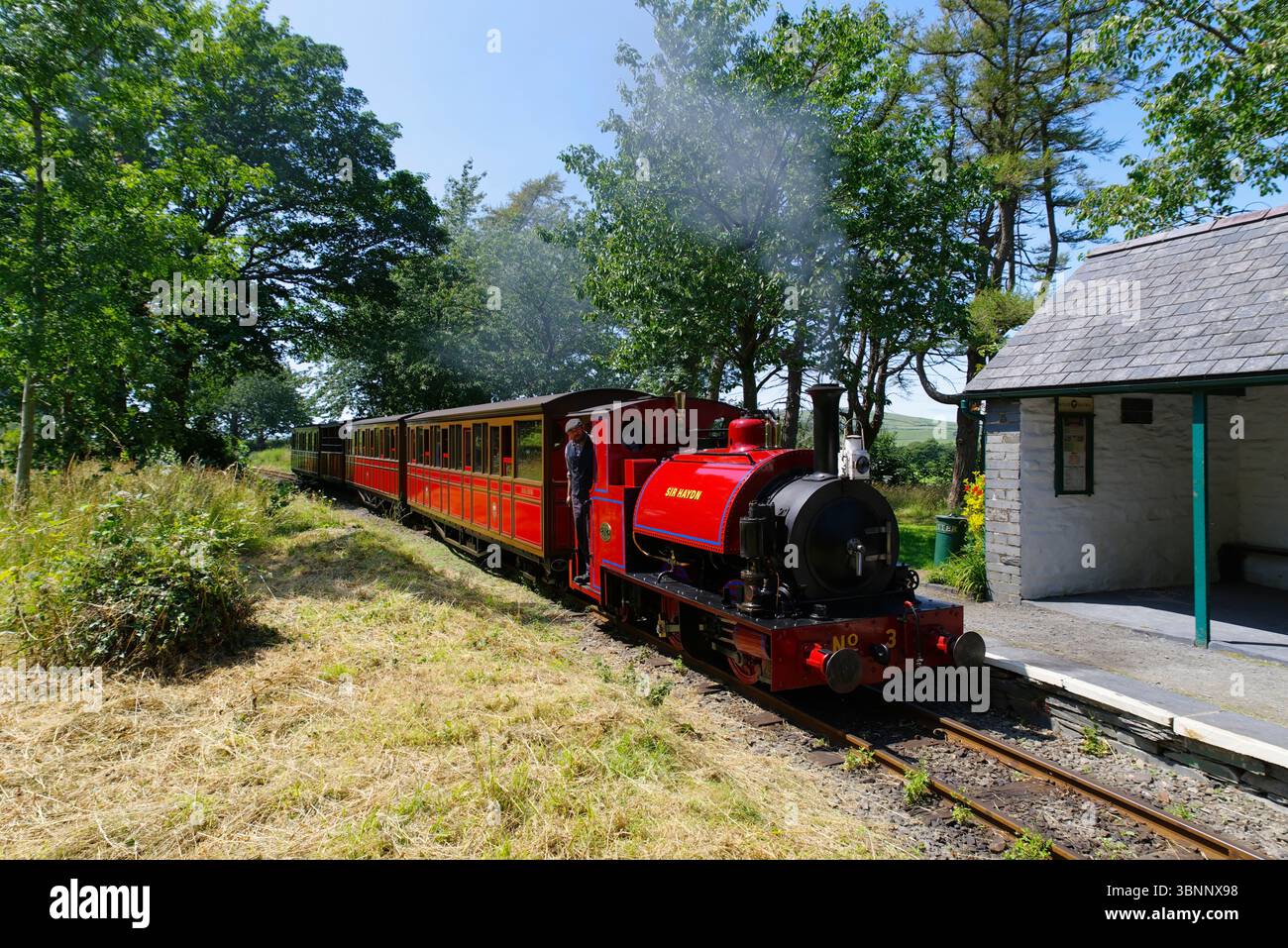 No 3, Sir Haydn, Sir Handel, Rhydyronen, Tal y Llyn, Narrow Gauge ...