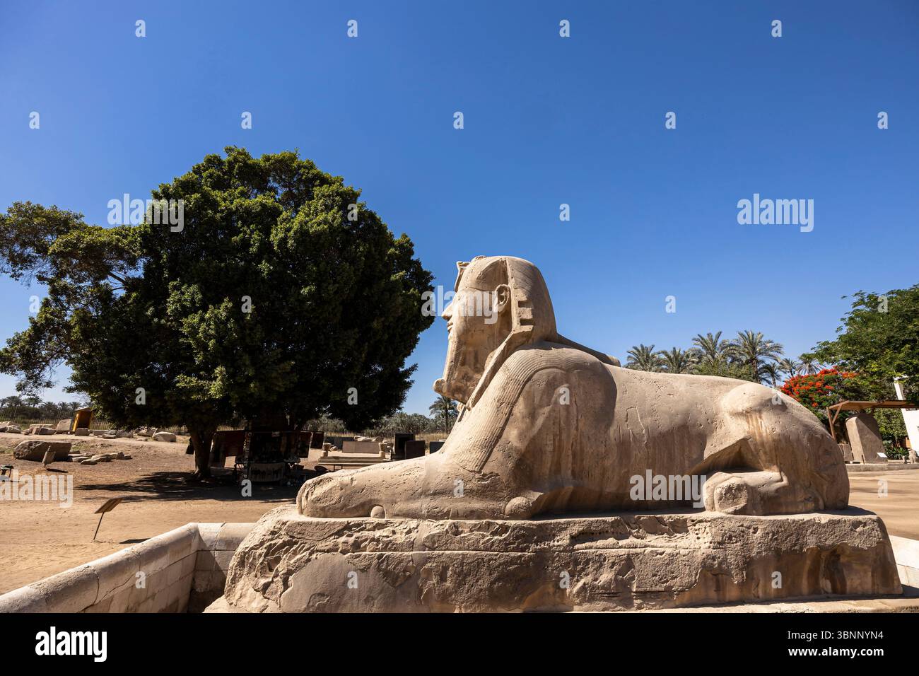 Memphis, Sphinx of Memphis, Alabaster, Memphis open air museum, ancient ...