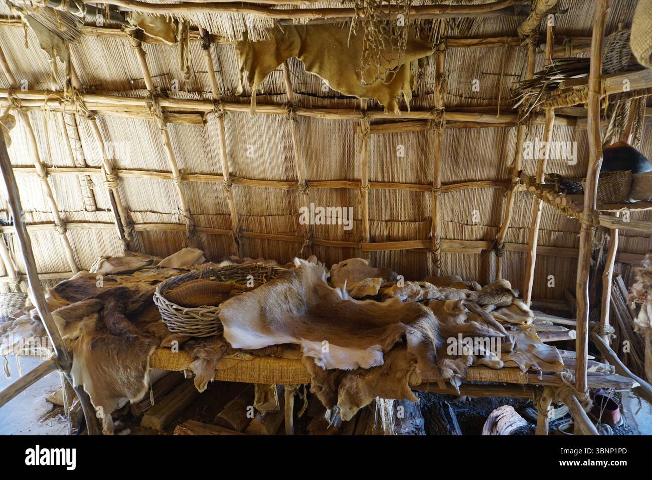 Traditional Native American hunting trophies: Deer hide, furs, and ...