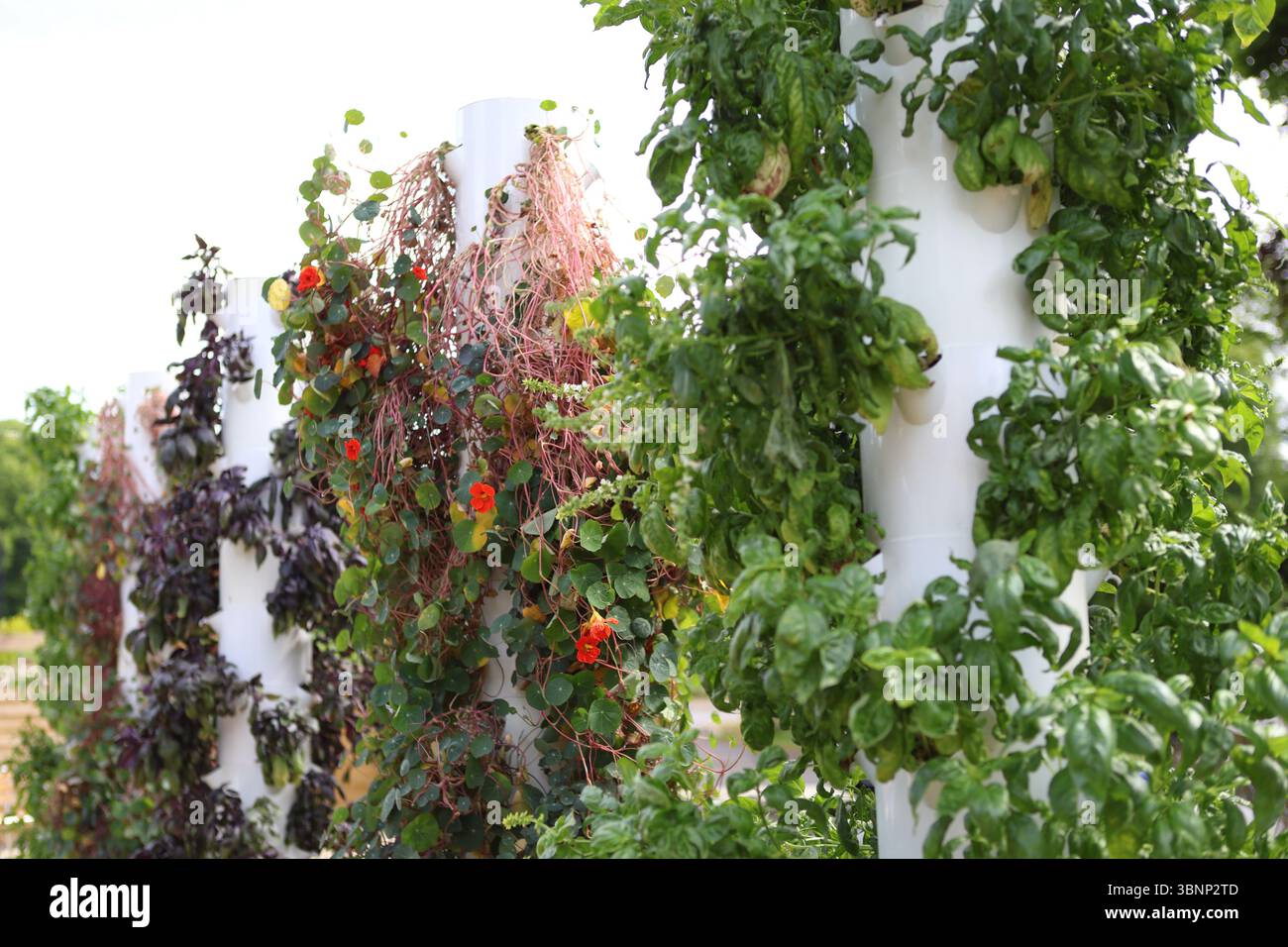 Applegarth Vertical farm Grayshott Hampshire UK external view Stock ...