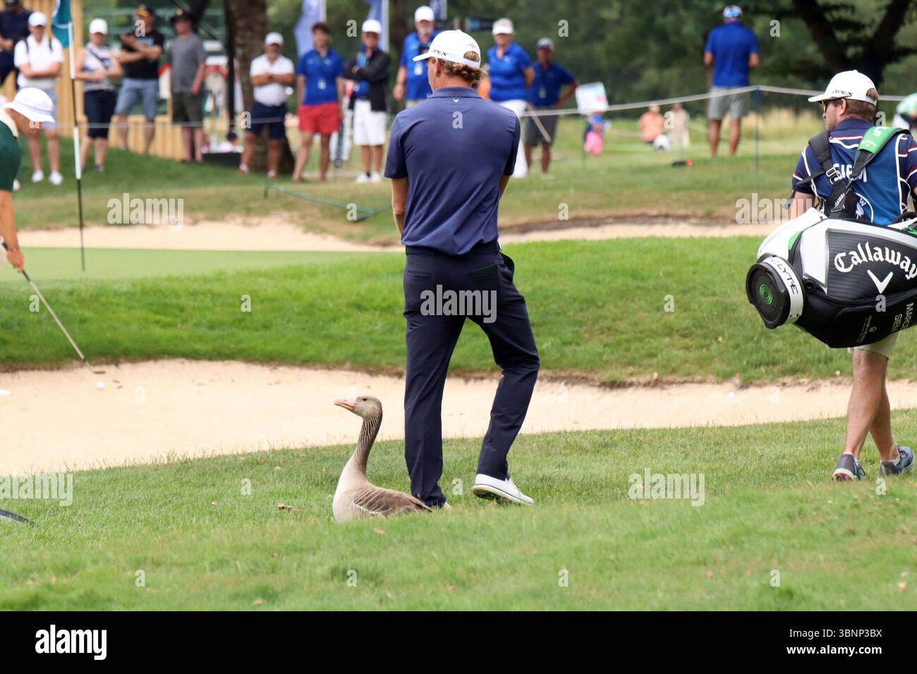 Golf, BMW International Open, Eichenried, 03.07.2025, Tag 1 Bild: Marcel, Siem (GER) und eine ...