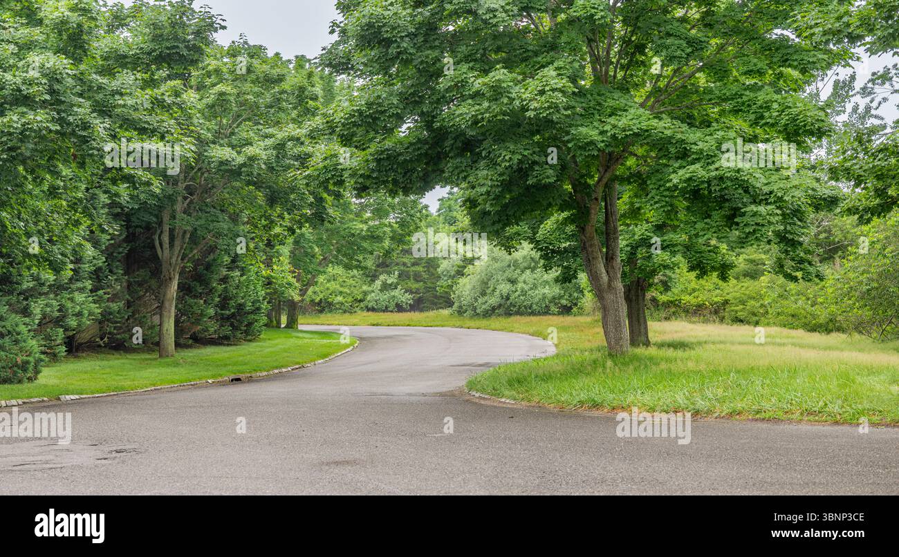 quiet undeveloped landscape with a street in watermill, ny Stock Photo ...