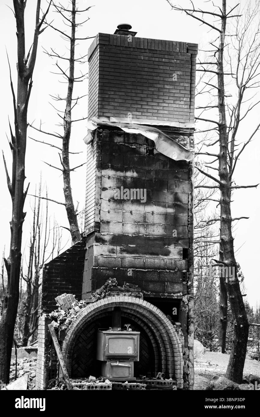 Laser forest Black and White Stock Photos & Images - Alamy