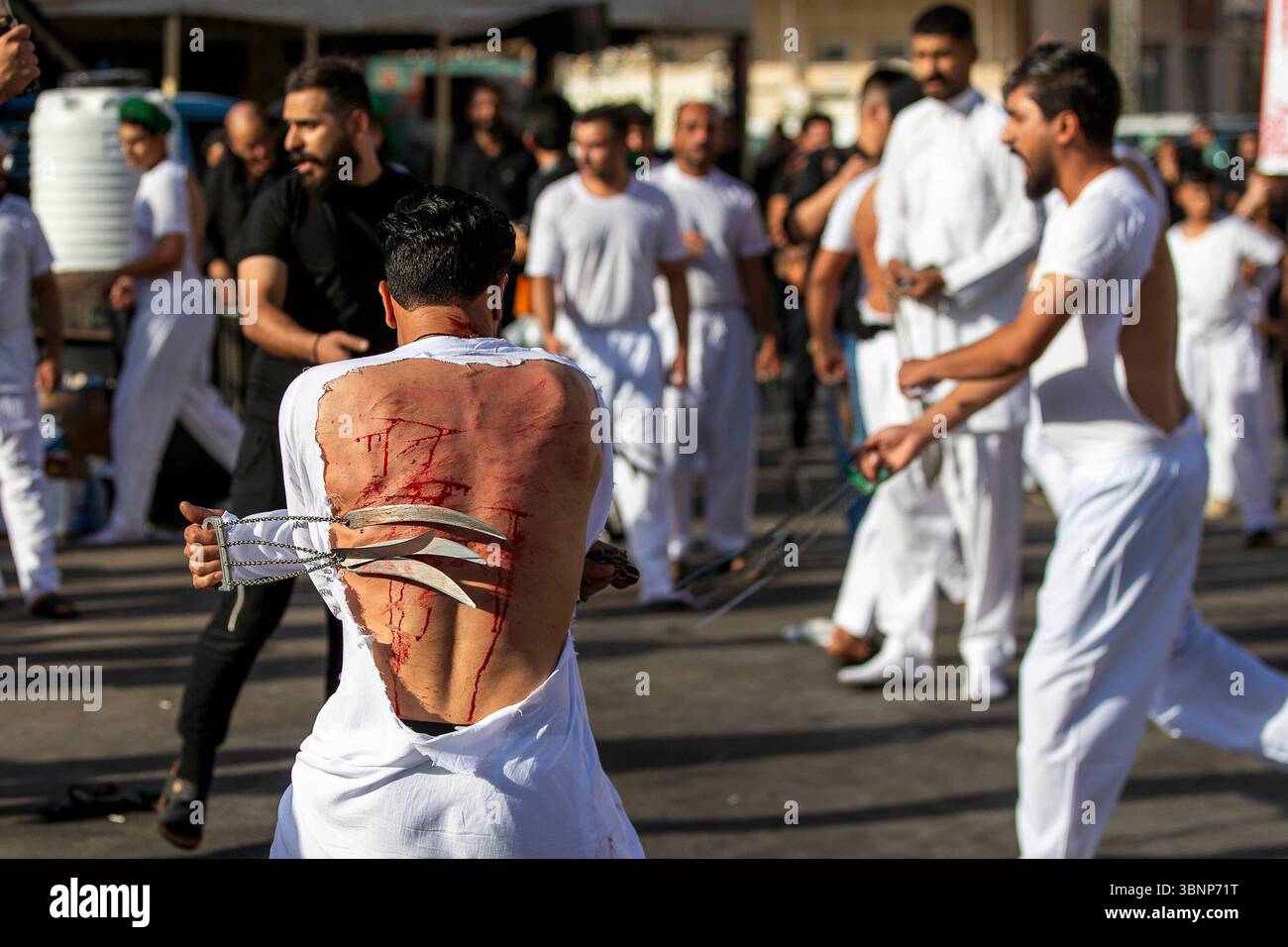 Shiite faithful pilgrims flagellate themselves as a sign of grief for ...