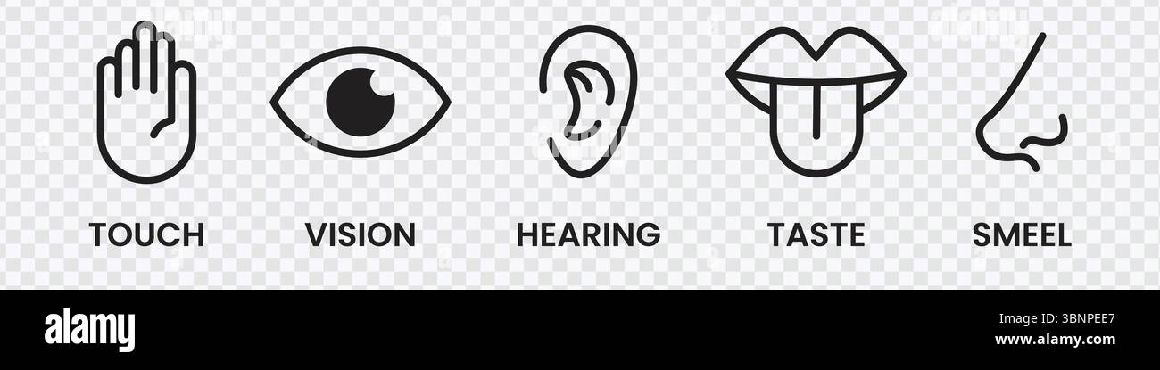 "Five Senses Icons - Touch, Vision, Hearing, Taste, Smell Stock Vector ...