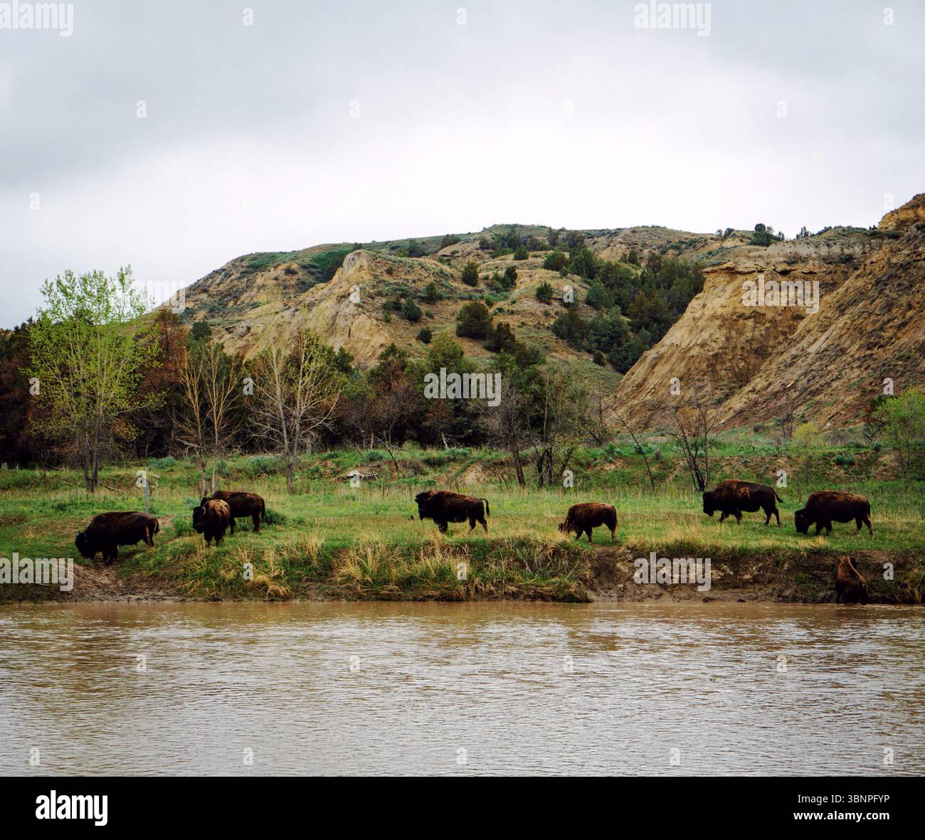 North dakota riverbank hi-res stock photography and images - Alamy