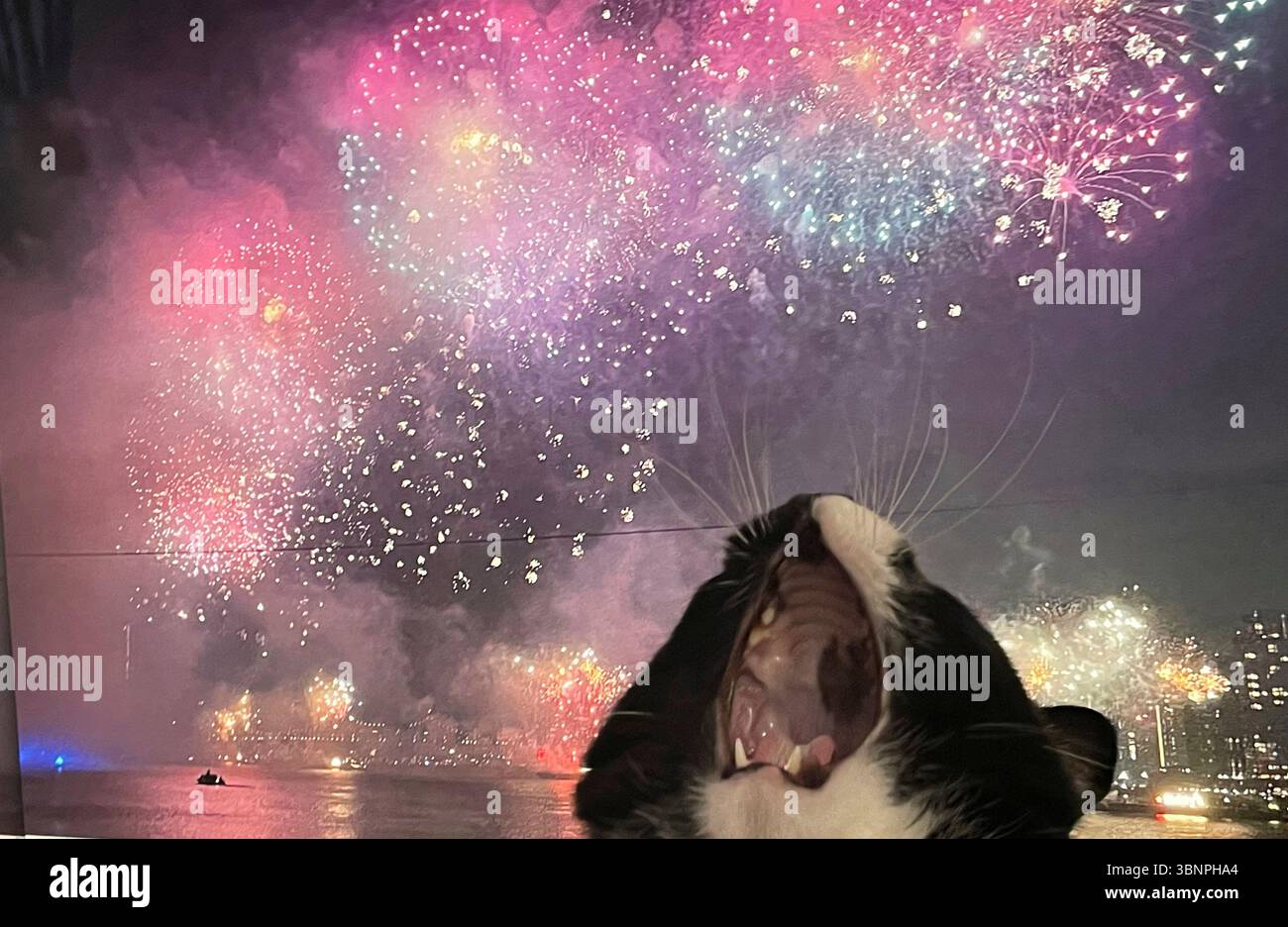 Photo by: STRF/STAR MAX/IPx 2025 7/3/25 4th of July Fireworks continue ...