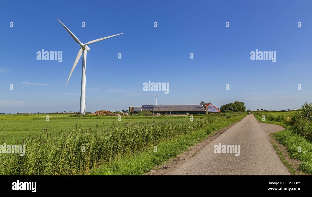 Modern open farm with his own wind turbine in the Netherlands Stock ...
