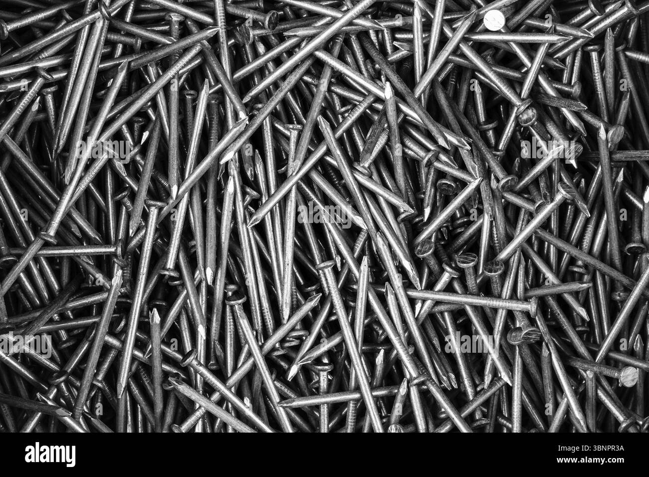 A bunch of metal nails close-up top view, black and white photo Stock ...