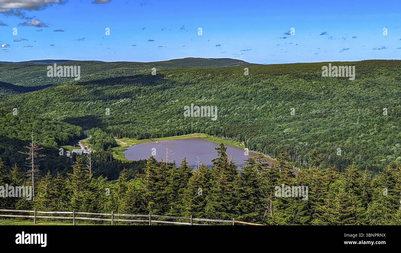High View of a Mountain Lake Looking Over Evergreens and Pine Trees on ...