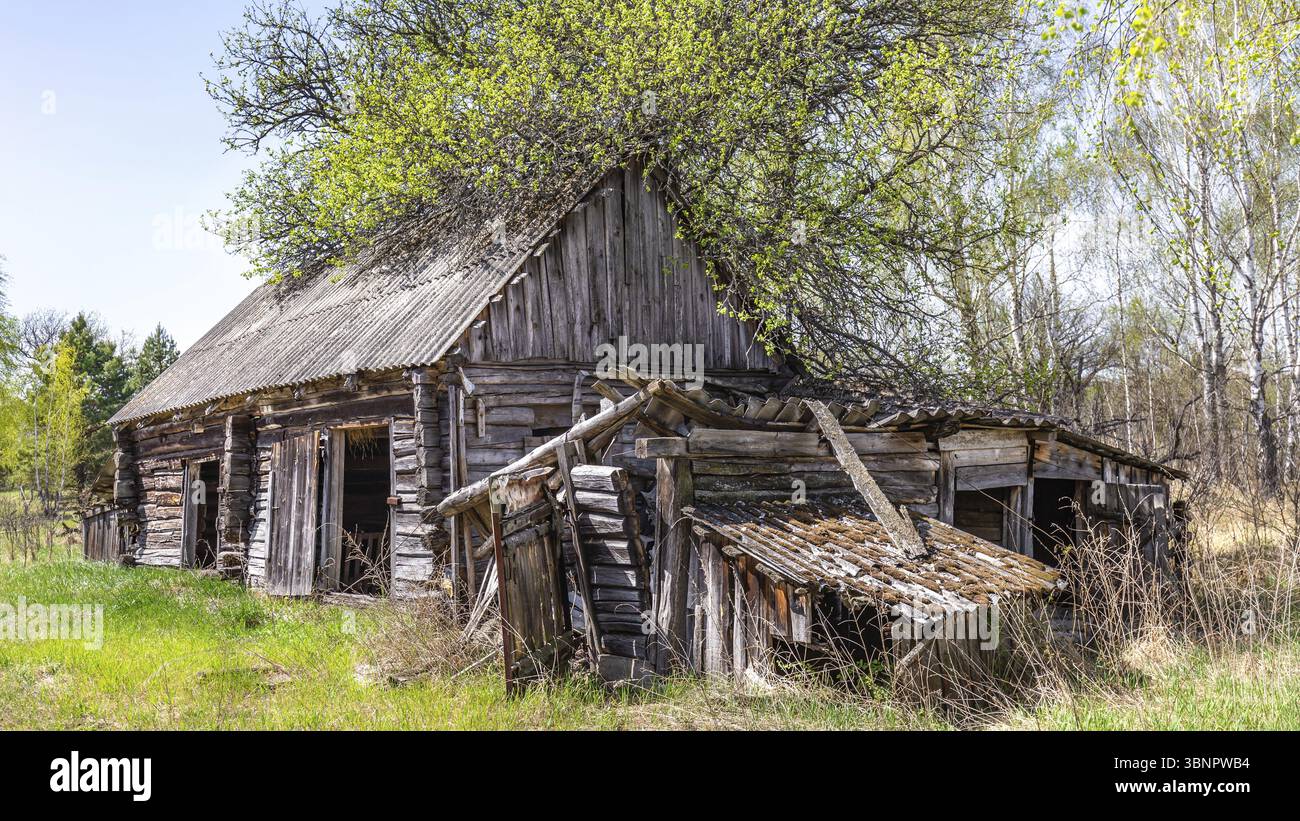 Abandoned little house in Belarus Chernobyl exclusion zone, recently ...