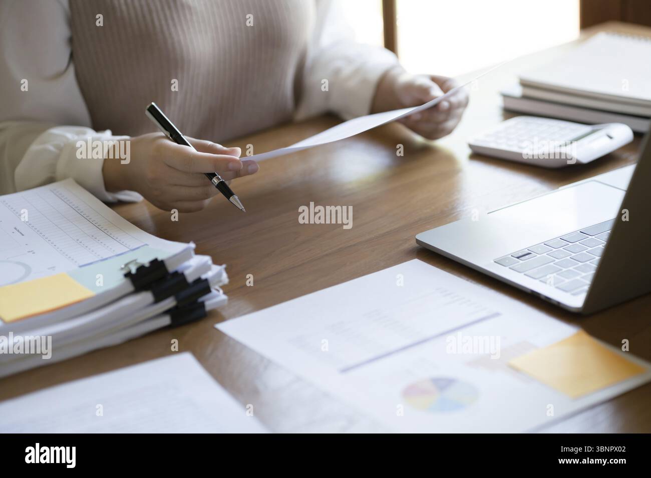 Business Professional Chartered Accountant Woman working with computer ...