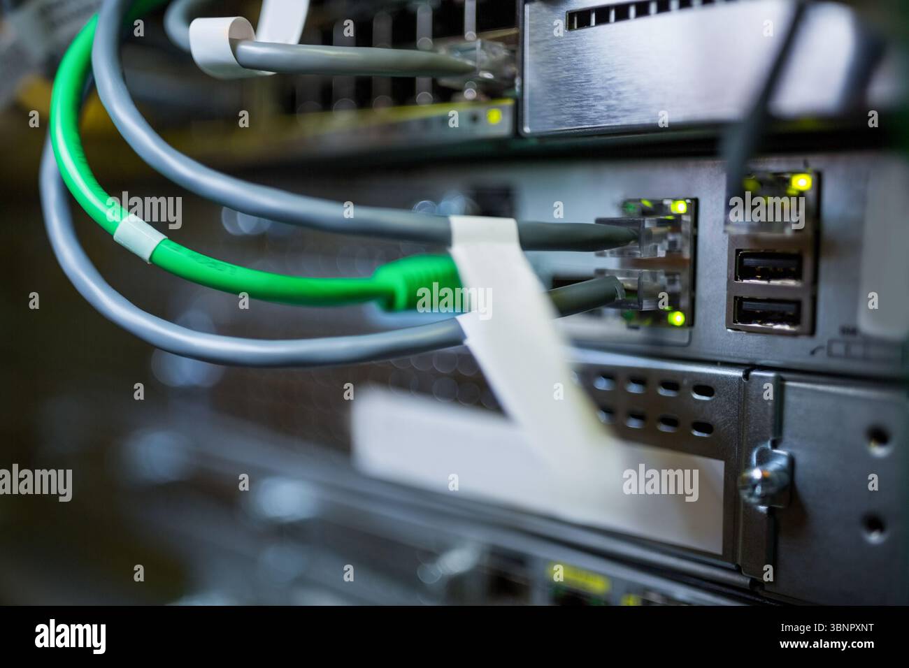 Cluster of gray and green Ethernet cables are showing glowing status ...