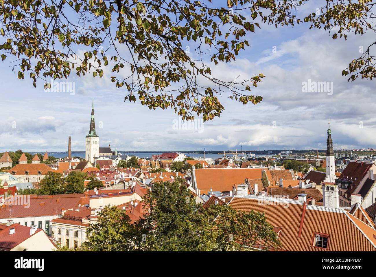 Cityscape of the old town of Talinn, capital city of Estonia Stock ...