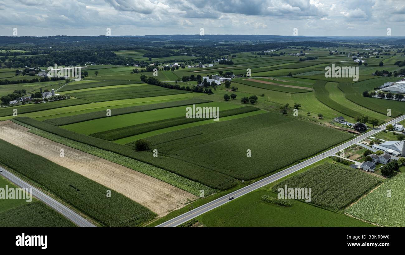 Sweeping aerial perspective of rich, green farmland, segmented by roads ...