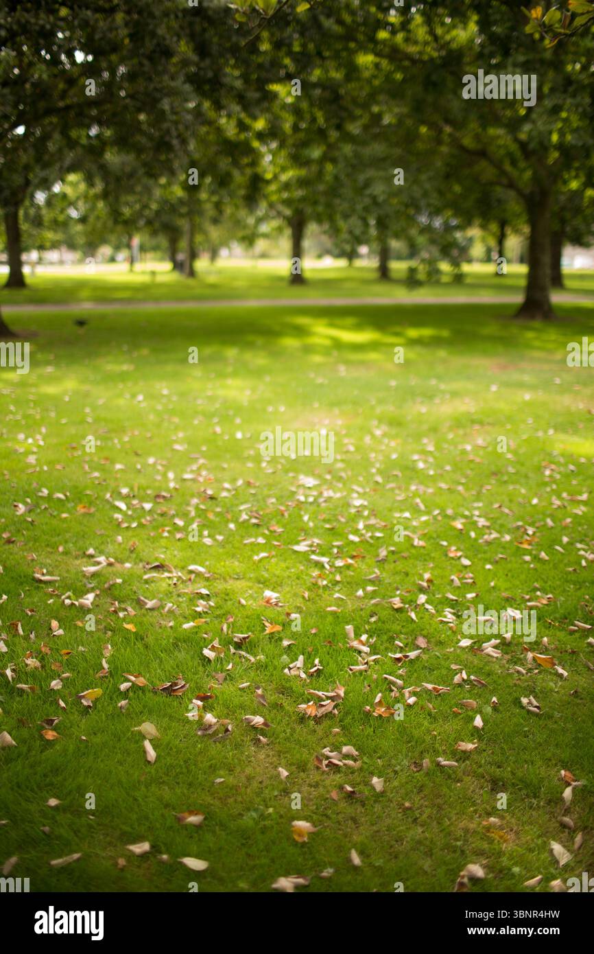 Falling on grass hi-res stock photography and images - Alamy