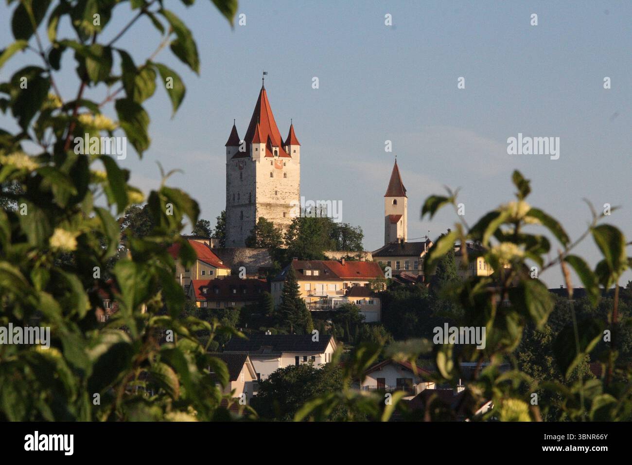 HAAG IN OBERBAYERN, GERMANY - MAY 31, 2025: Morning view of Haag Castle ...