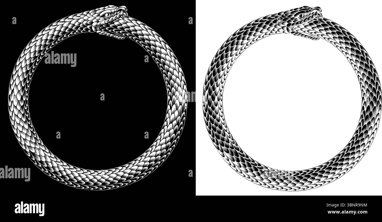Ouroboros Uroboros Serpent Snake Vintage Woodcut Stock Vector Image ...