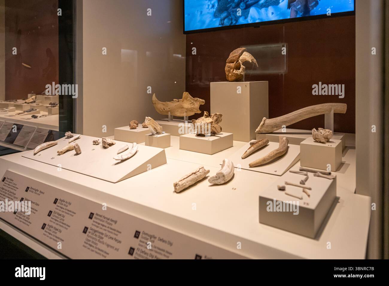 Ankara, Turkey - May 10, 2025: Ankara Museum of Anatolian Civilizations ...