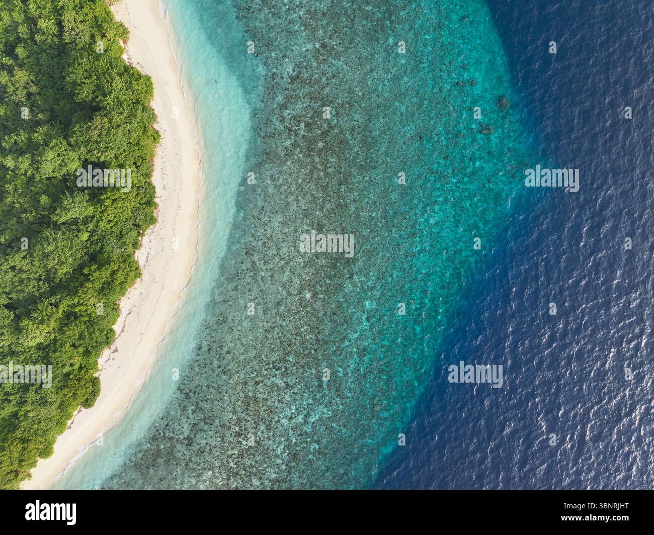 Aerial view of the island's lush green vegetation meeting the white ...
