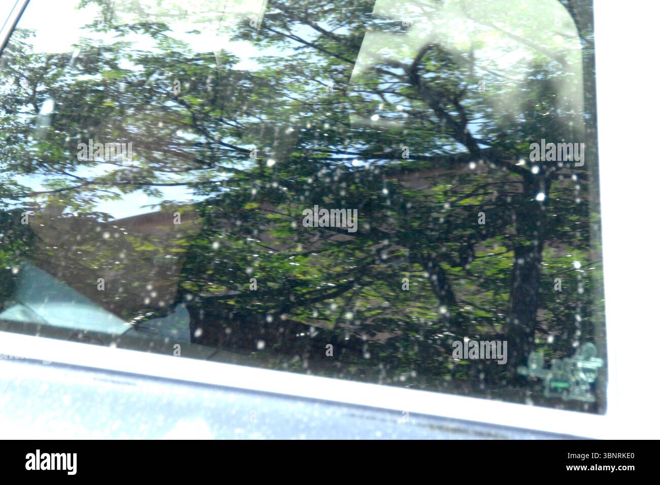 (ARCHIVE photo) José Luis Martínez-Almeida leaving the Virgen del Rocío ...