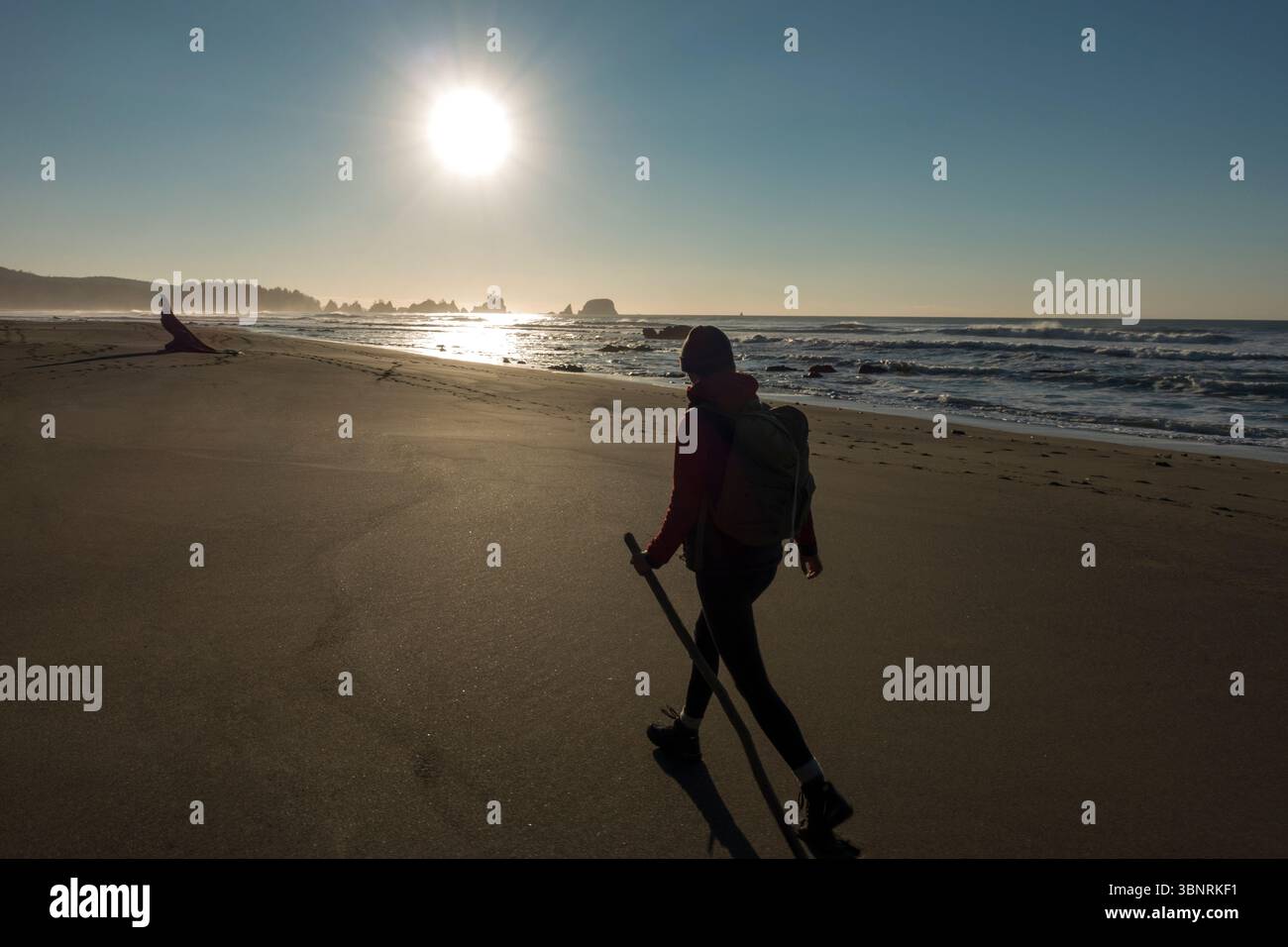 Shi shi beach and camping hi-res stock photography and images - Alamy