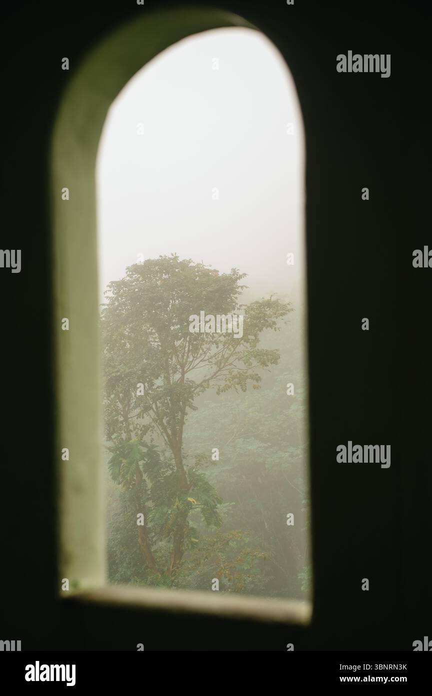 Arched window with view of tropical jungle in fog in El Yunque Stock ...