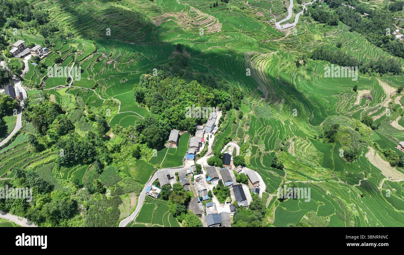 Aerial photo shows the terraced field in Youyang County, Chongqing ...