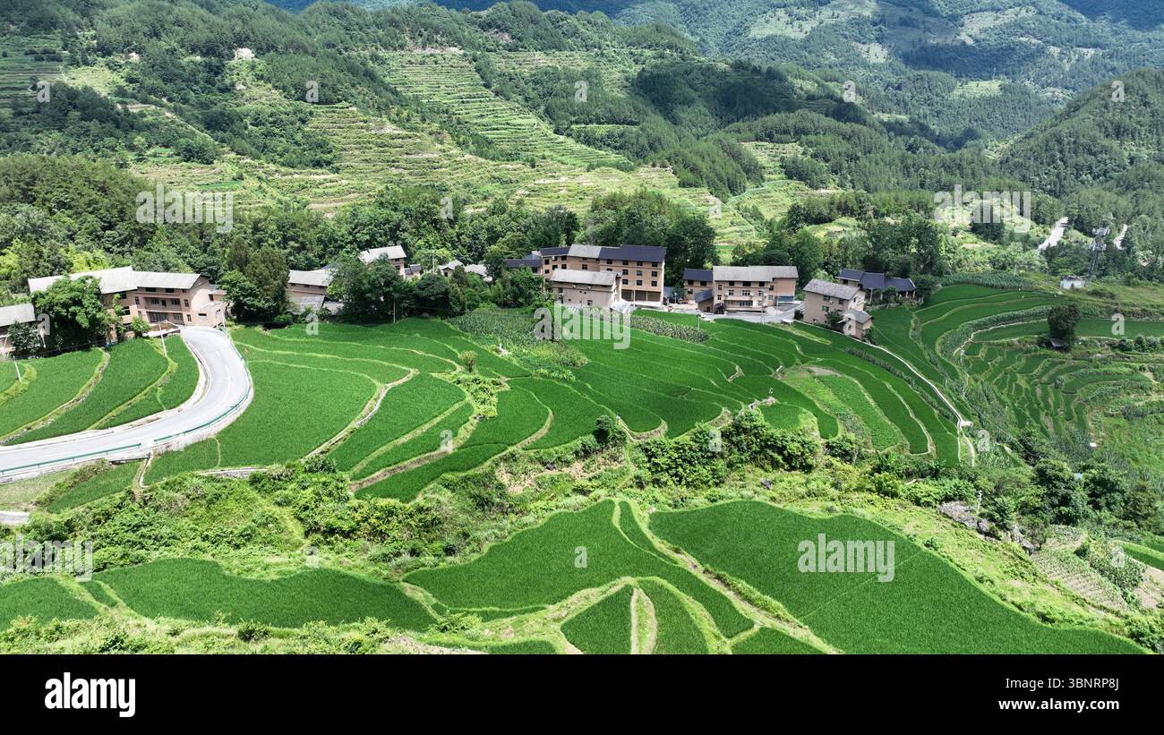 Aerial photo shows the terraced field in Youyang County, Chongqing ...