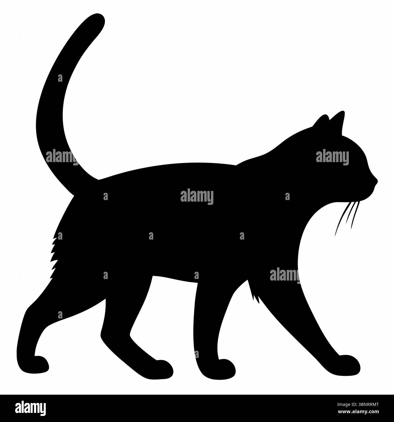 Arched cat hi-res stock photography and images - Alamy